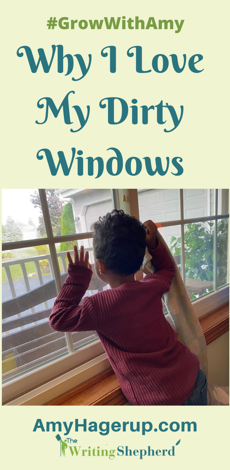 Why I Love My Dirty Windows - Vitamin Shepherd - Growing in faith & health